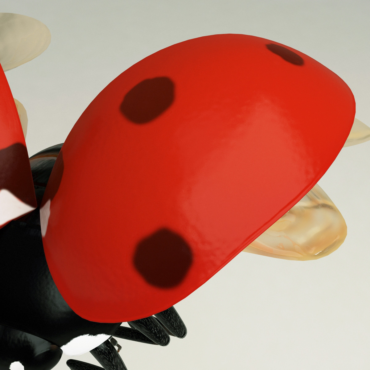 3d ladybug pose2 model