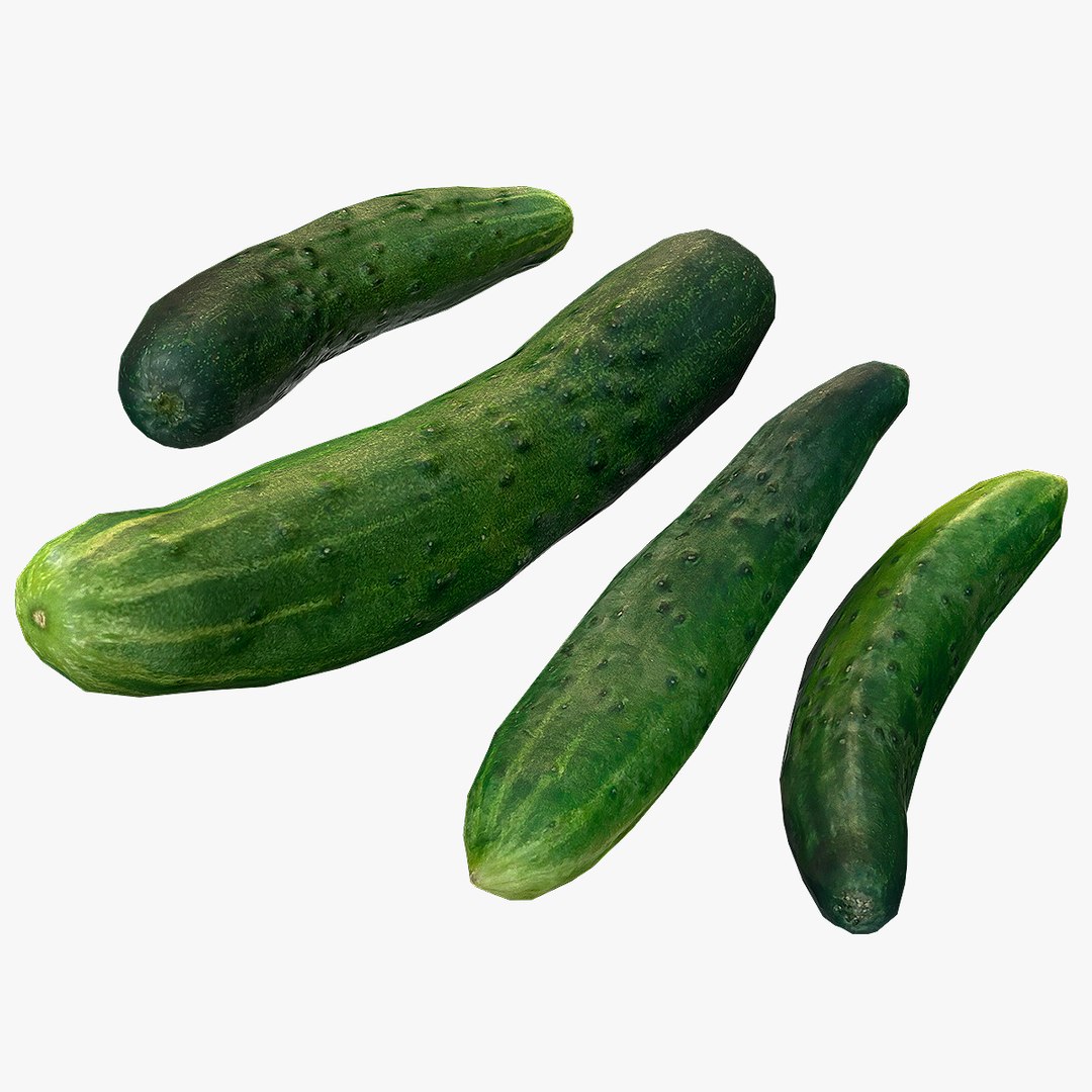 Cucumber 3D model - TurboSquid 1914830