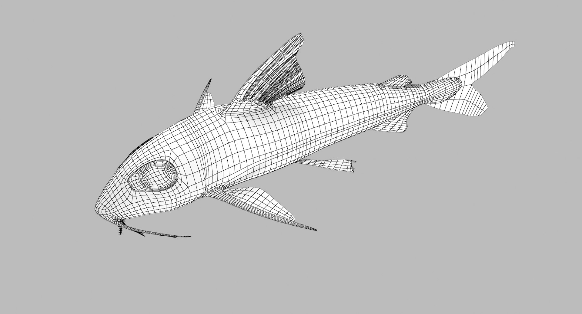 Mouse Catfish 3D Model - TurboSquid 1414115