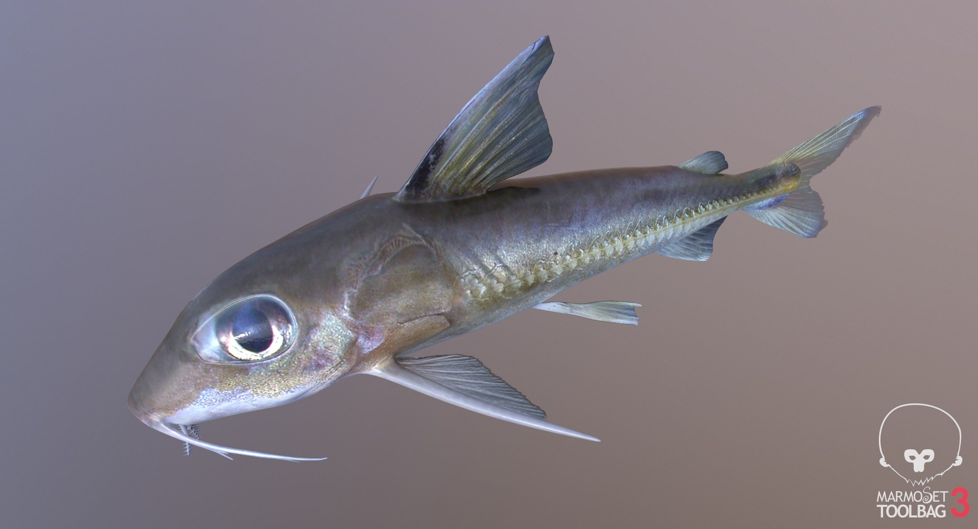 Mouse Catfish 3D Model - TurboSquid 1414115
