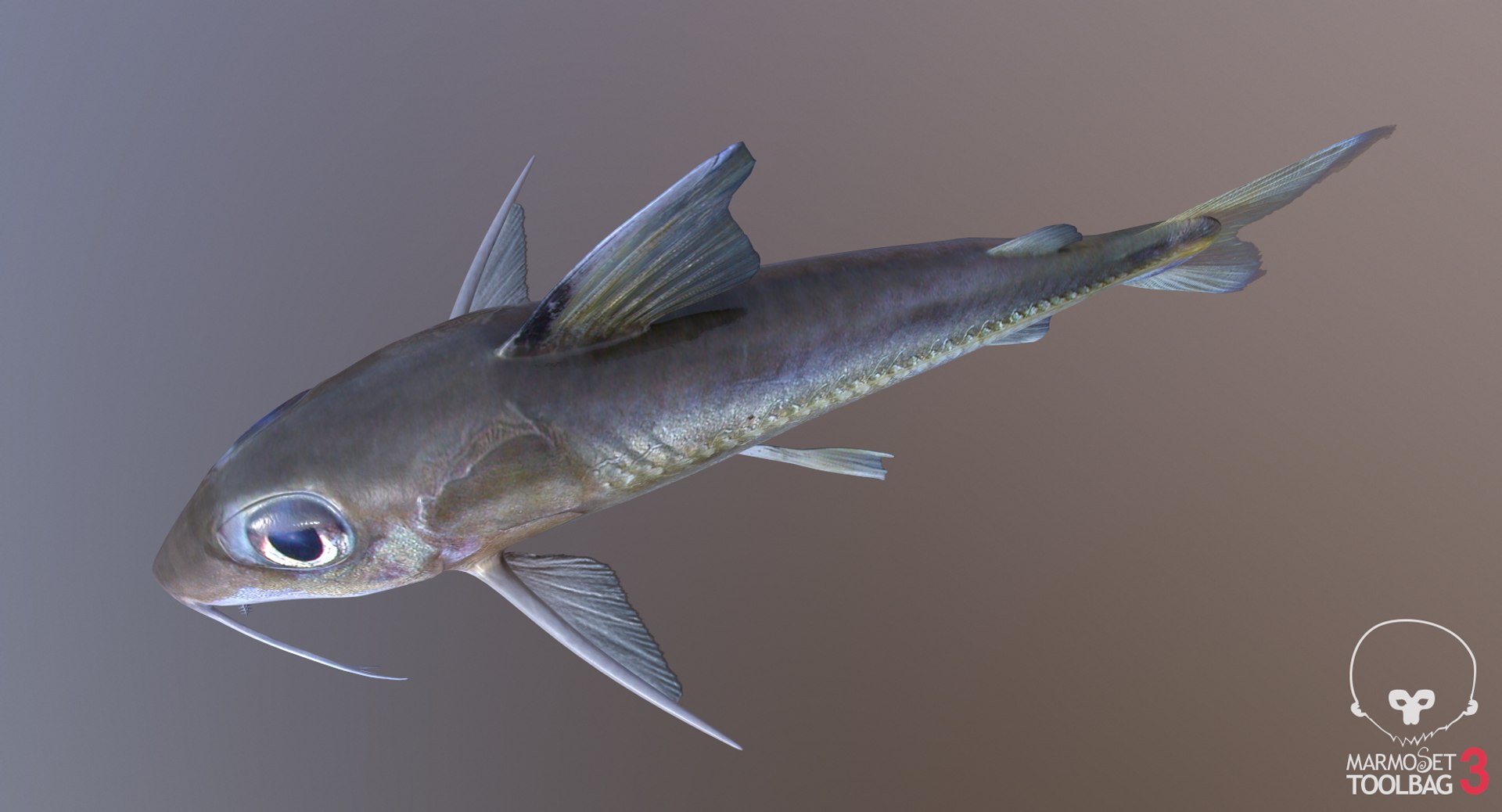 Mouse Catfish 3D Model - TurboSquid 1414115