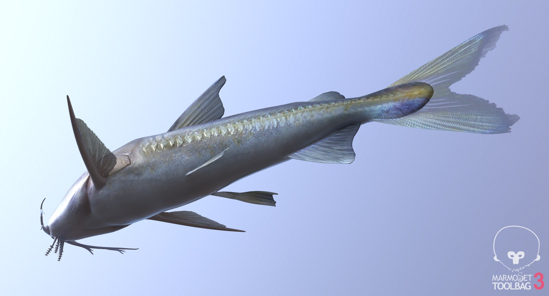 Mouse Catfish 3D Model - TurboSquid 1414115