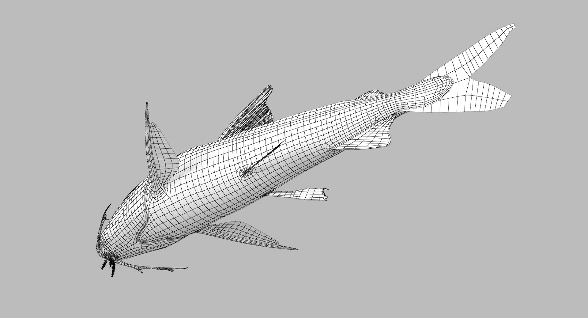 Mouse Catfish 3D Model - TurboSquid 1414115