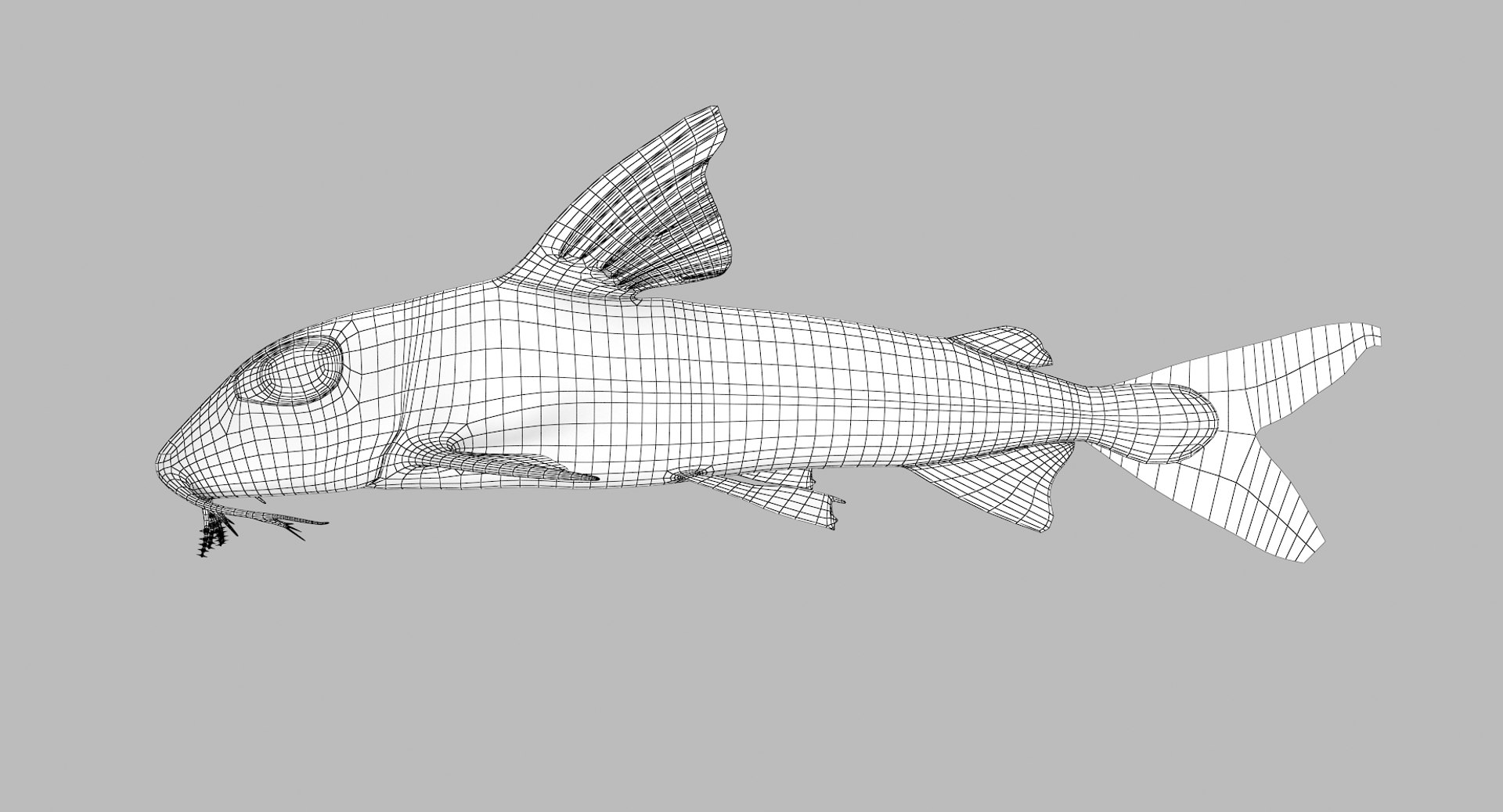 Mouse Catfish 3D Model - TurboSquid 1414115