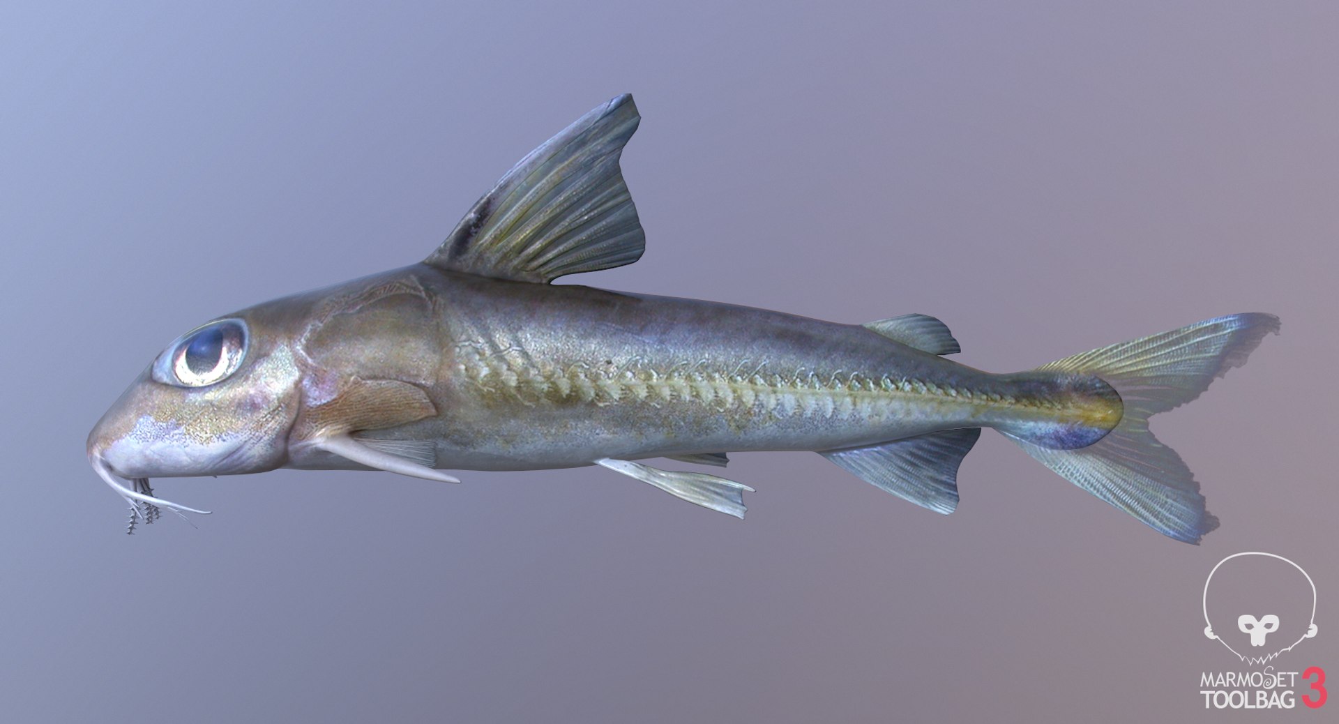 Mouse Catfish 3D Model - TurboSquid 1414115