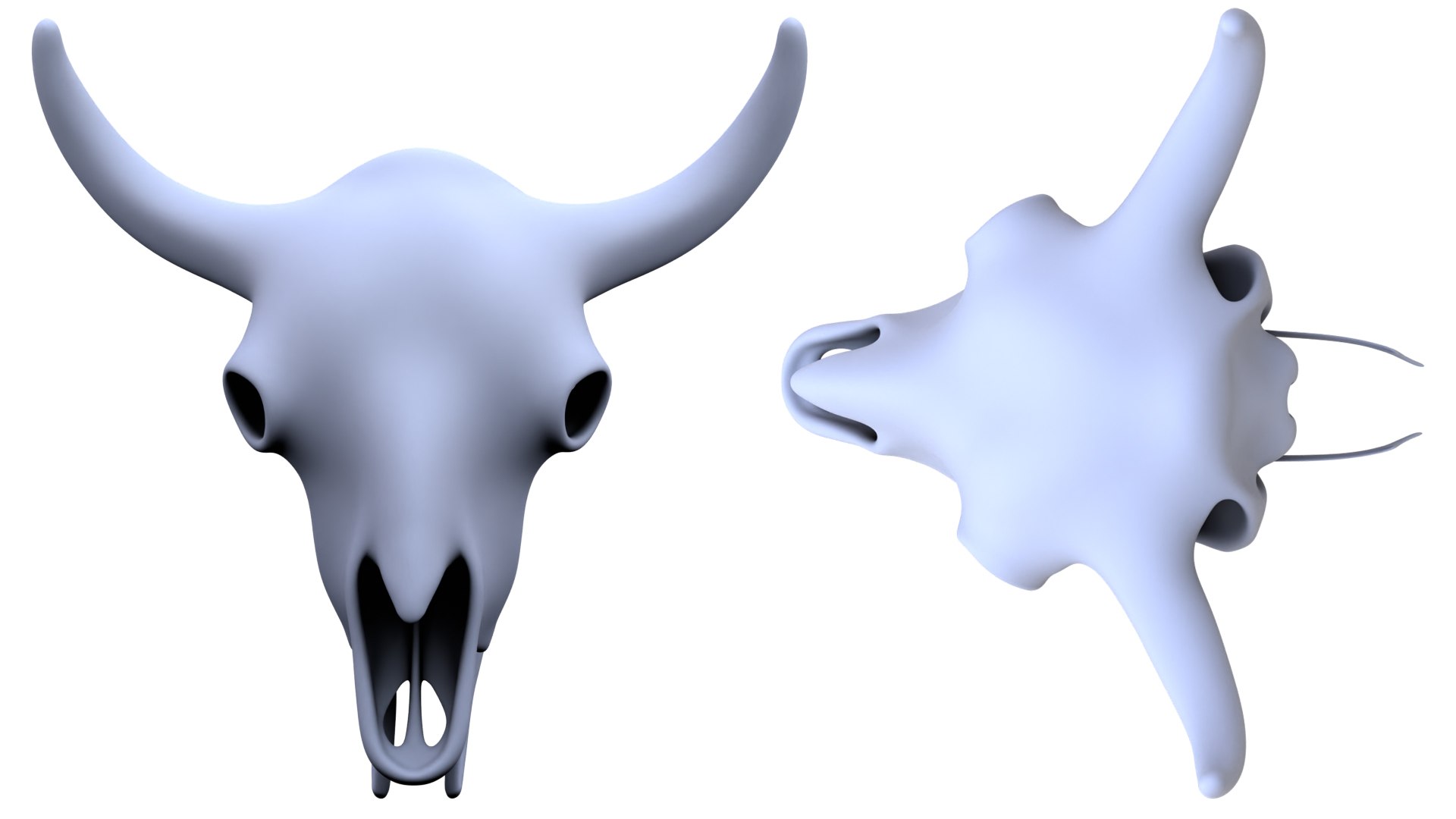 Bison Skeleton 3D Model - TurboSquid 2240204