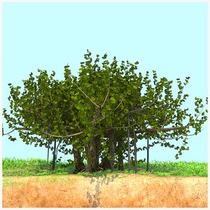 Free 3D Banyan-Tree Models | TurboSquid