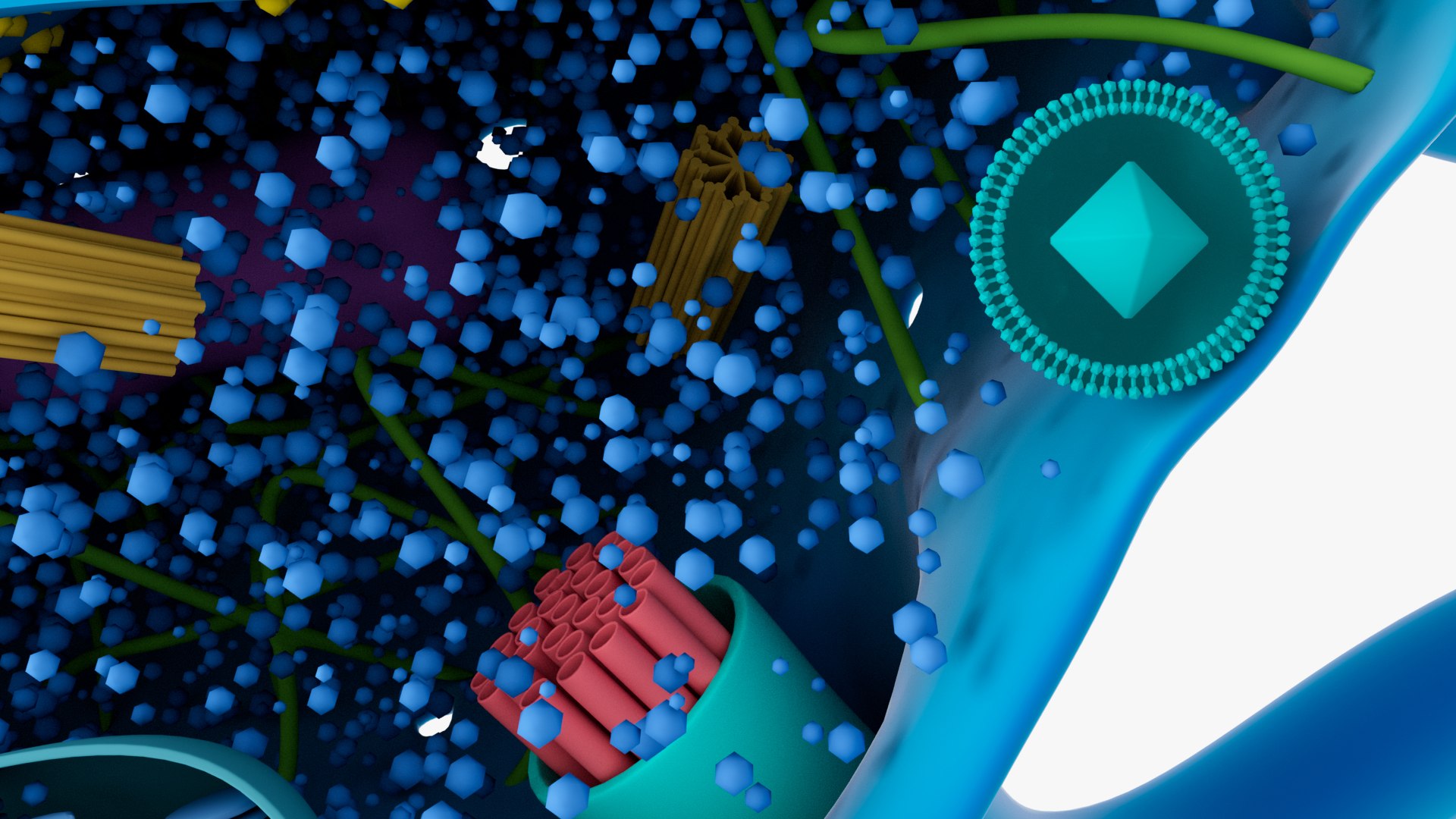 3D Eukaryotic Cell Model - TurboSquid 2248251