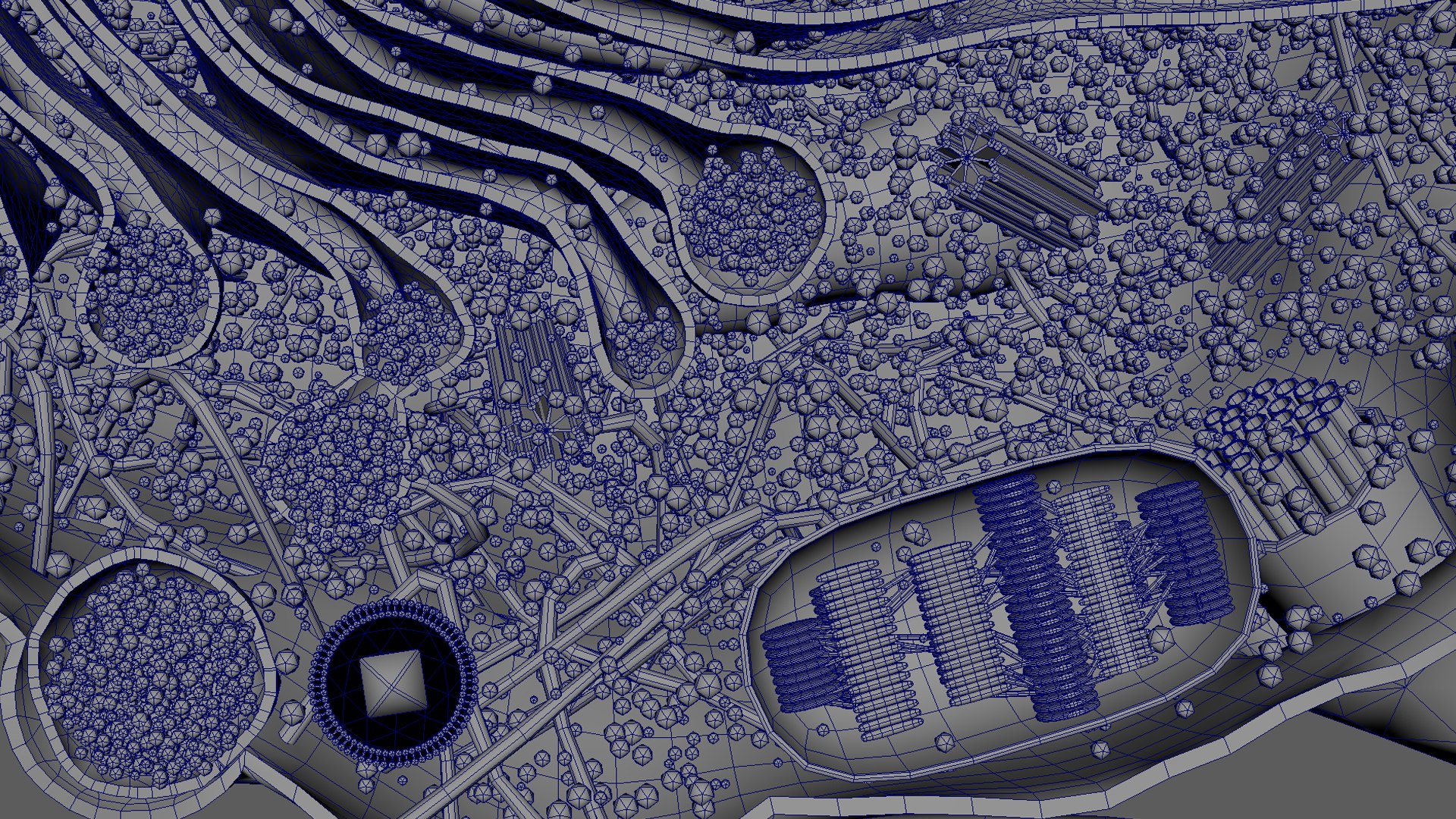 3D Eukaryotic Cell Model - TurboSquid 2248251