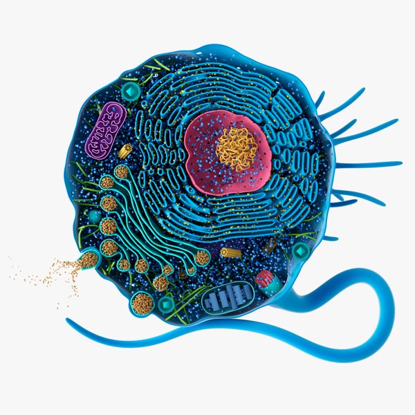 Cell 3D Models for Download | TurboSquid