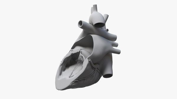 Heart Pack Static 3D model - TurboSquid 1766237