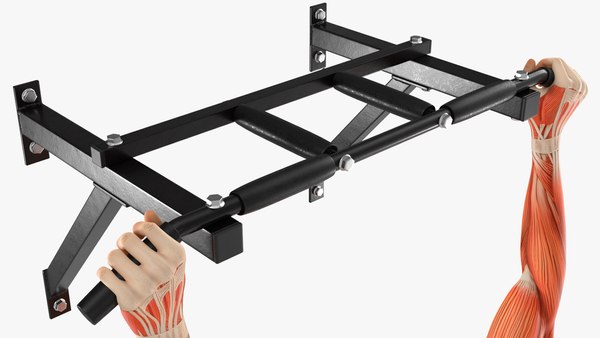 modelo 3d Anatomía del sistema muscular masculino dominadas animadas ...