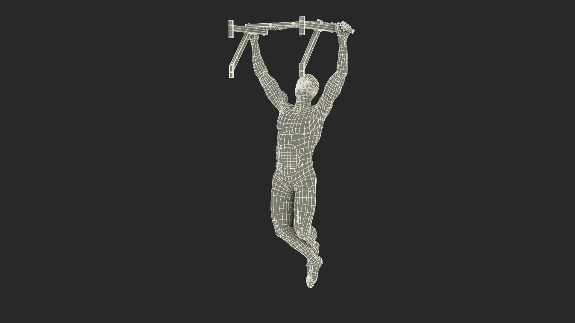 Anatomy Male Muscular System Pull-up Animated Rigged 3D - TurboSquid ...