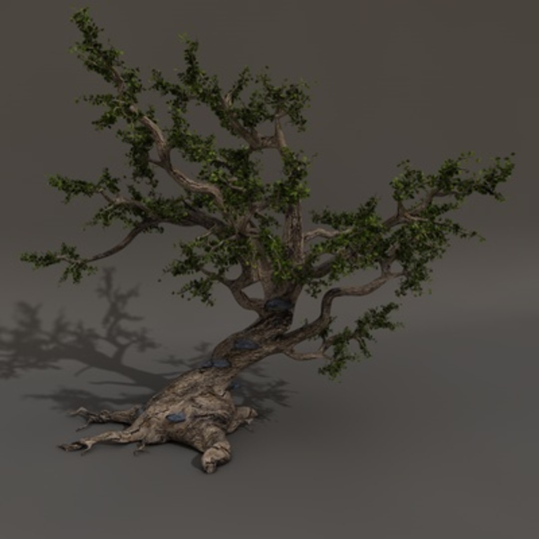 Tree Scary 3d Model