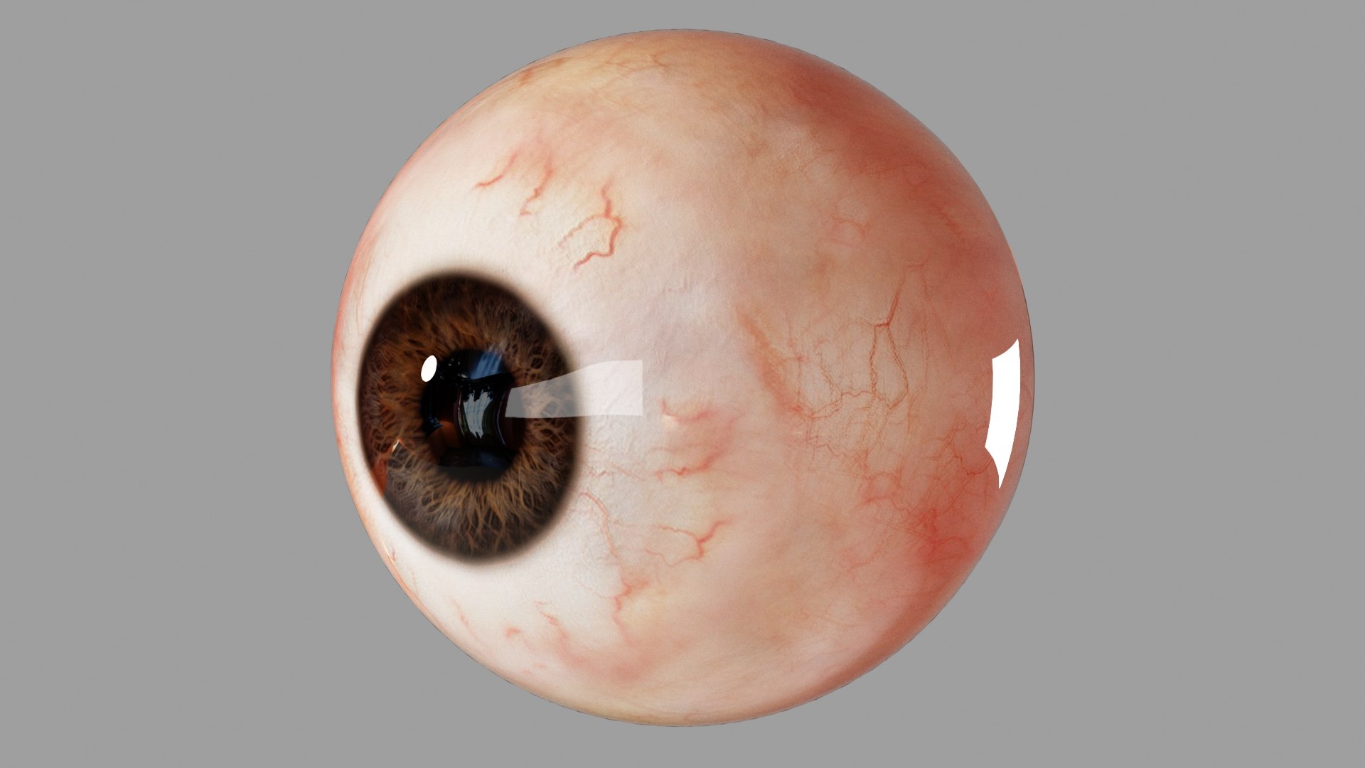 3D Realistic Human Eye - TurboSquid 1447199