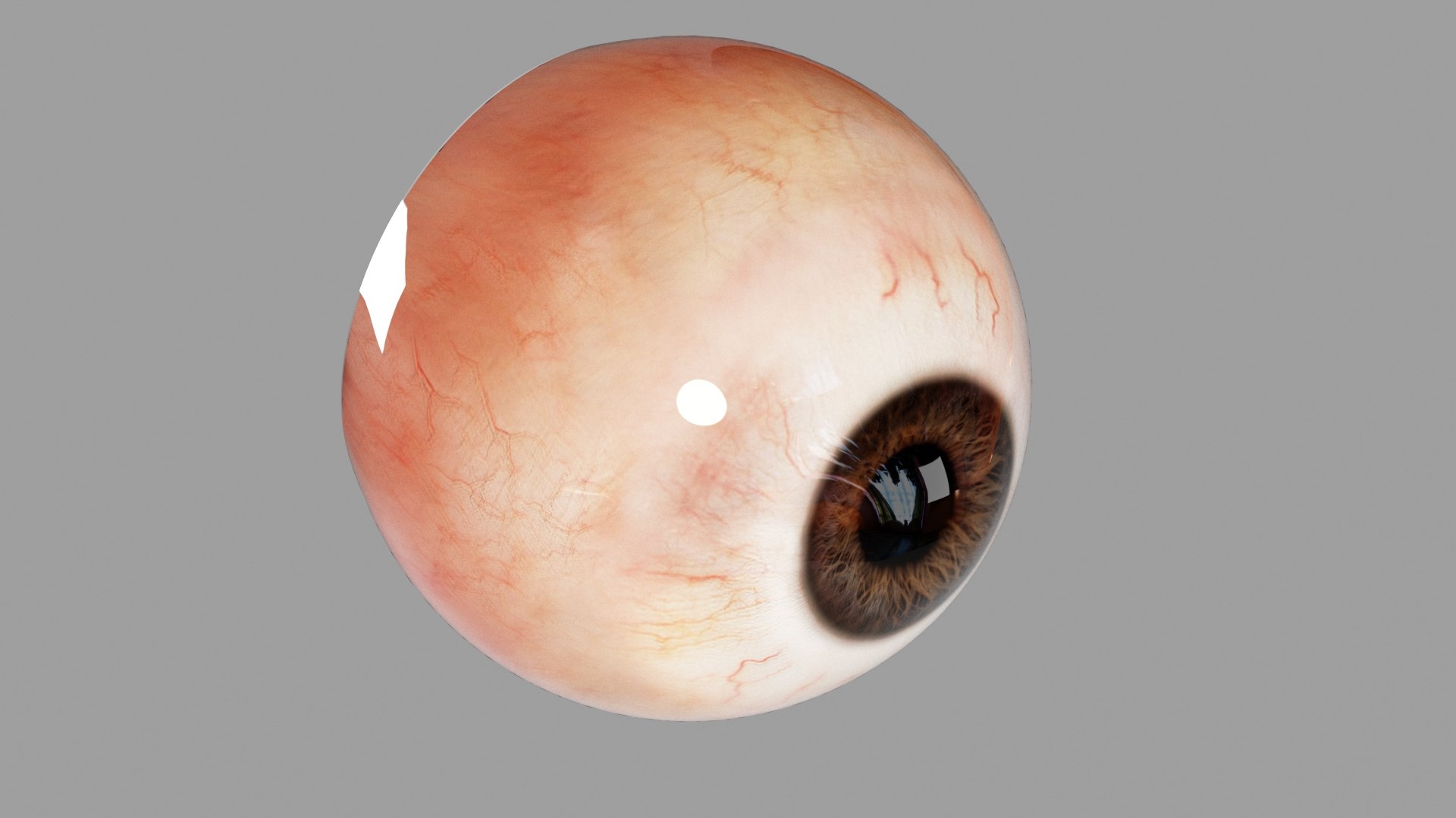 3D Realistic Human Eye - TurboSquid 1447199