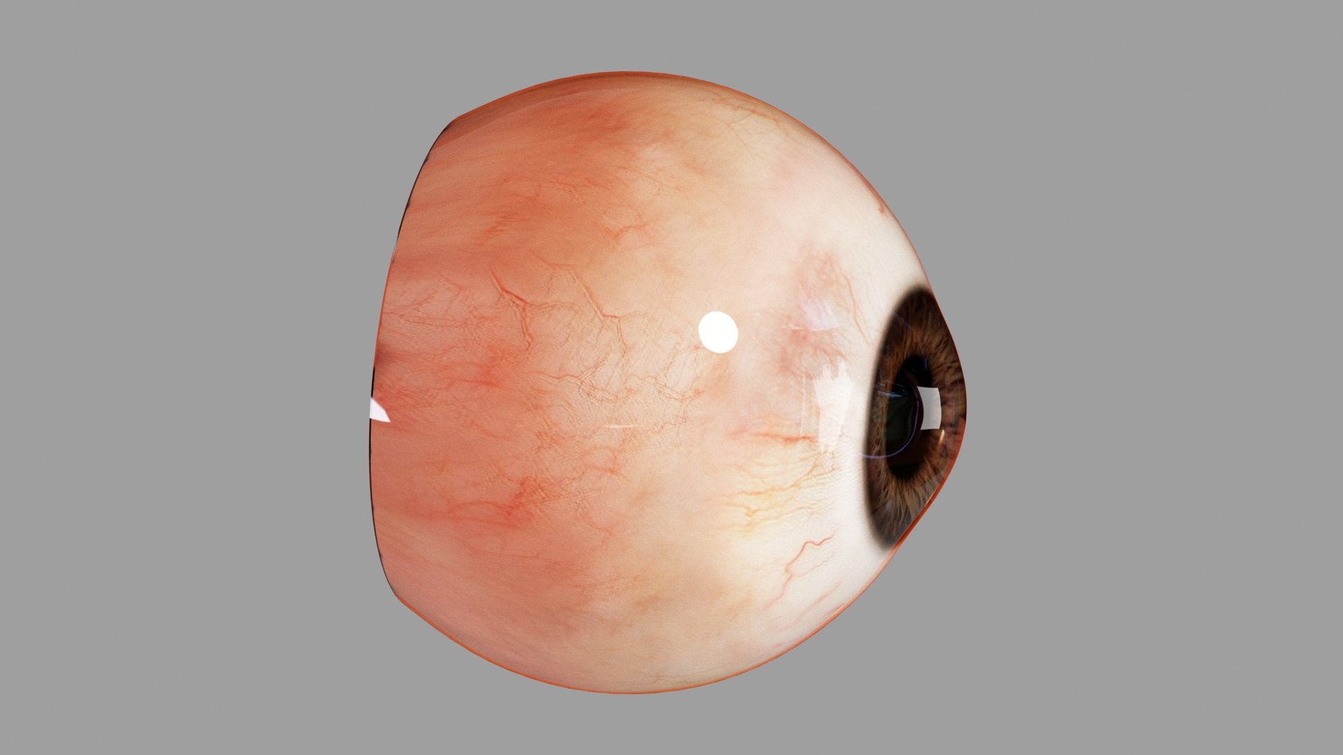 3D Realistic Human Eye - TurboSquid 1447199