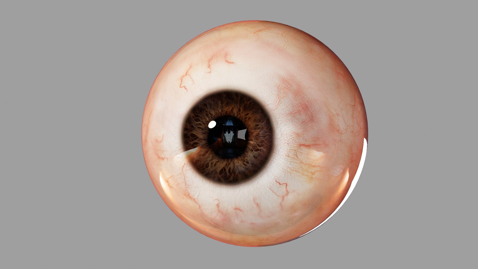 3D Realistic Human Eye - TurboSquid 1447199