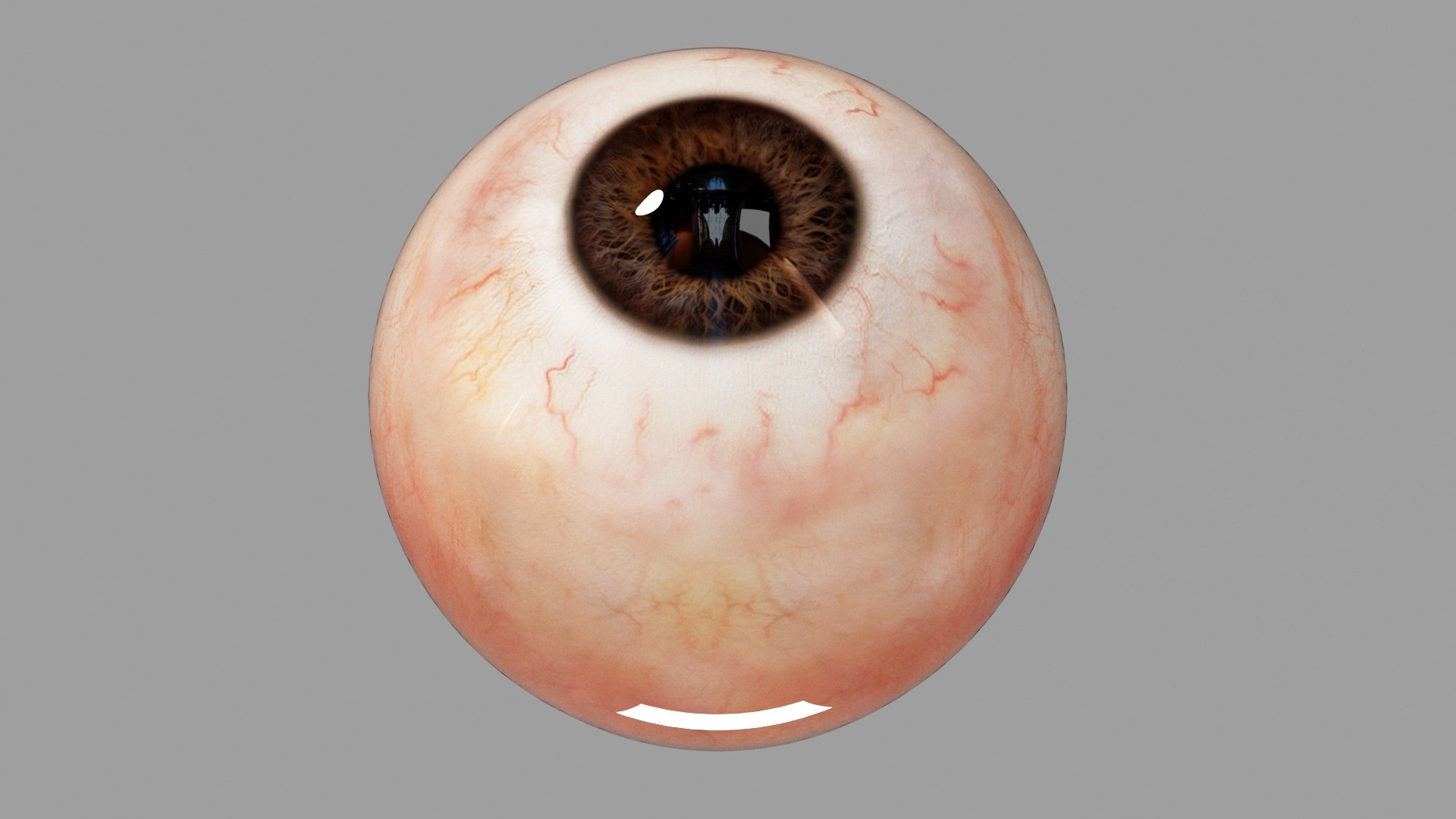 3D Realistic Human Eye - TurboSquid 1447199