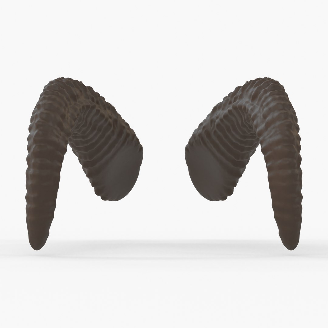 3D Model Large Curved Horns - Lauren - TurboSquid 1810911