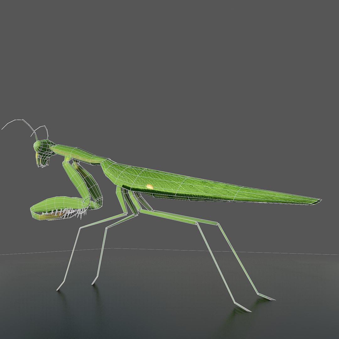 realistic mantis praying max