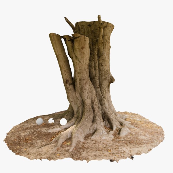 Red Oak Tree trunk 3D - TurboSquid 1765211
