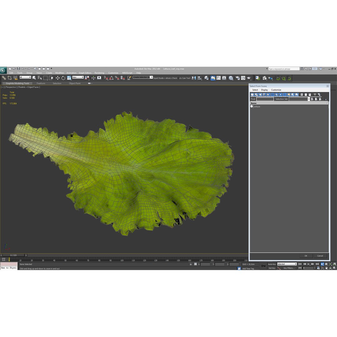 Lettuce Leaf 3d Model