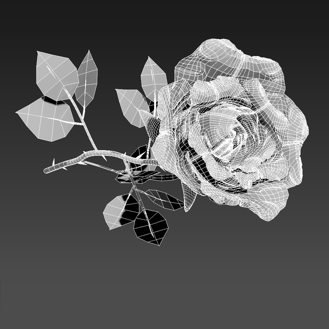 rose 3d model