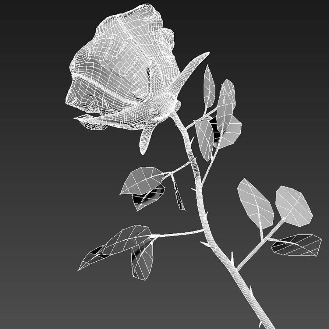 rose 3d model