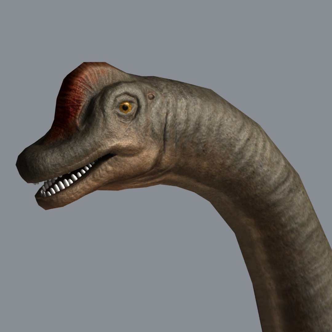 3d Brachiosaurus Sauropod Model