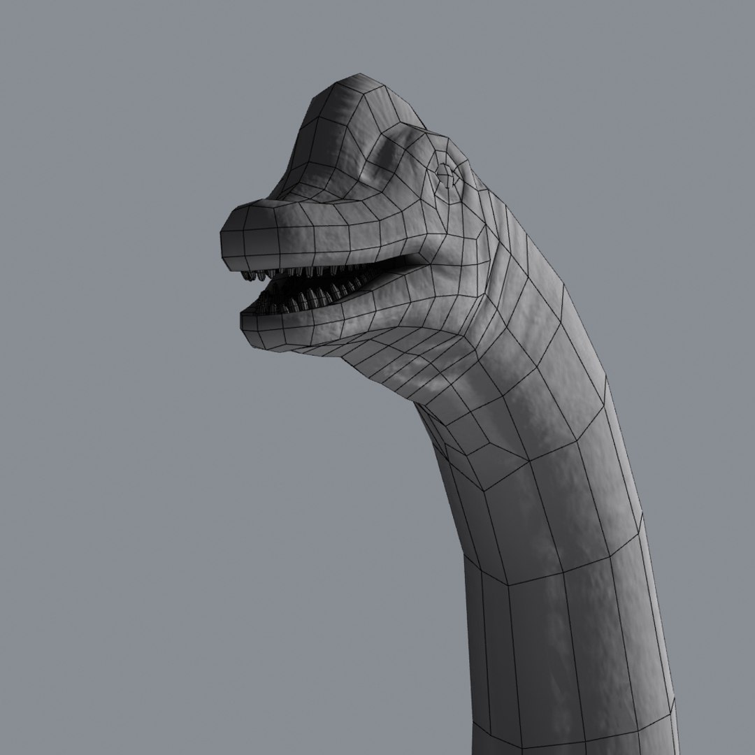 3d Brachiosaurus Sauropod Model