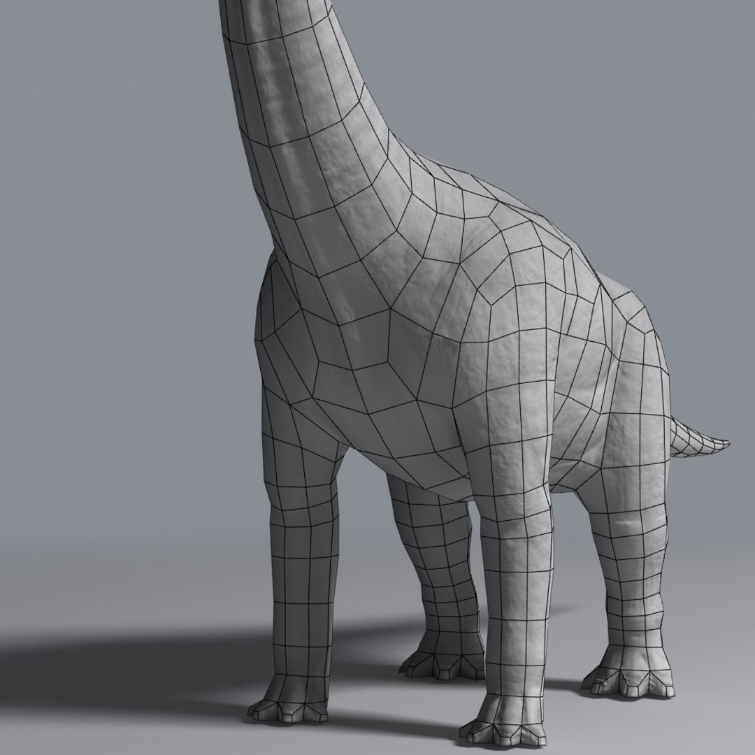 3d Brachiosaurus Sauropod Model
