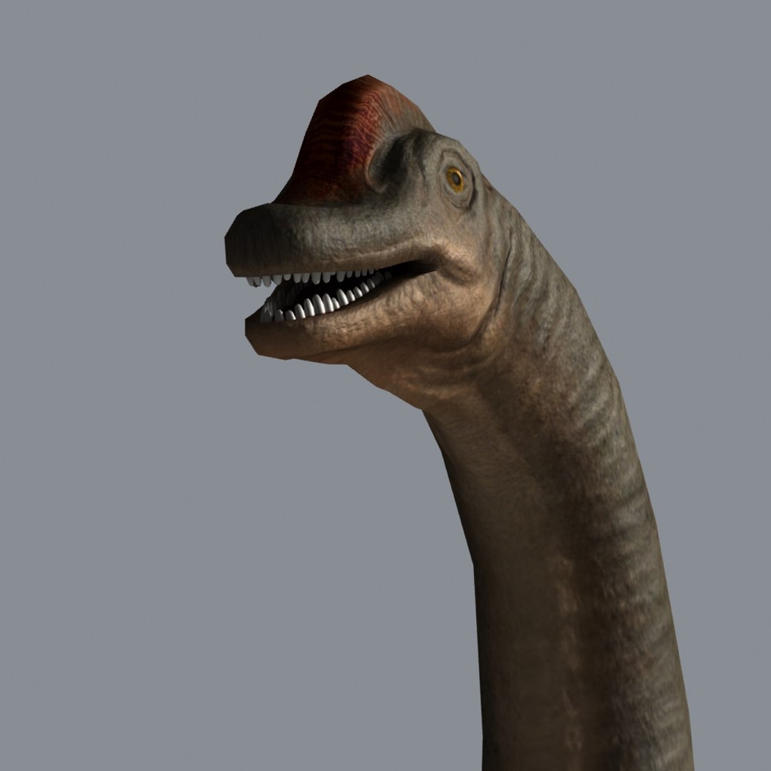 3d Brachiosaurus Sauropod Model
