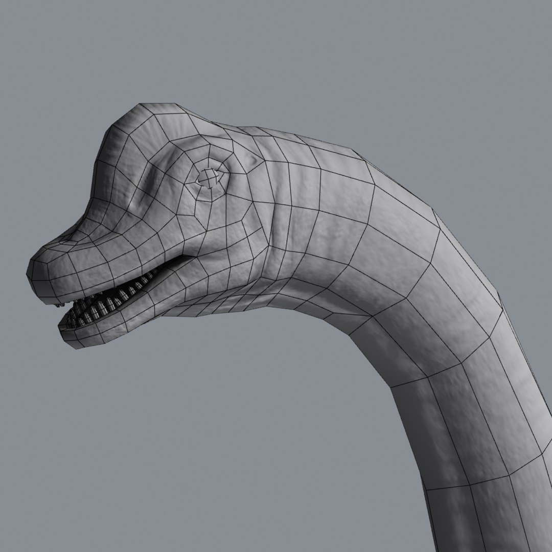 3d Brachiosaurus Sauropod Model