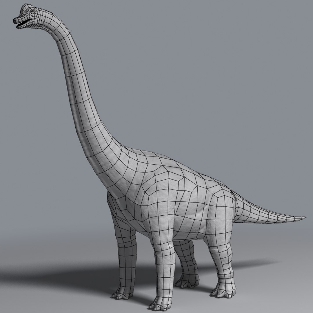 3d Brachiosaurus Sauropod Model