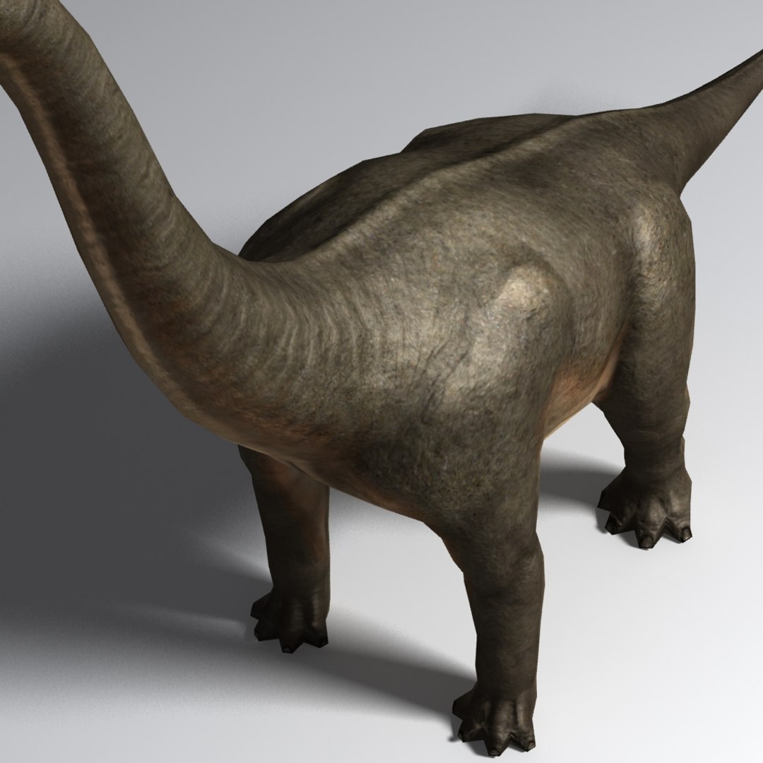 3d Brachiosaurus Sauropod Model