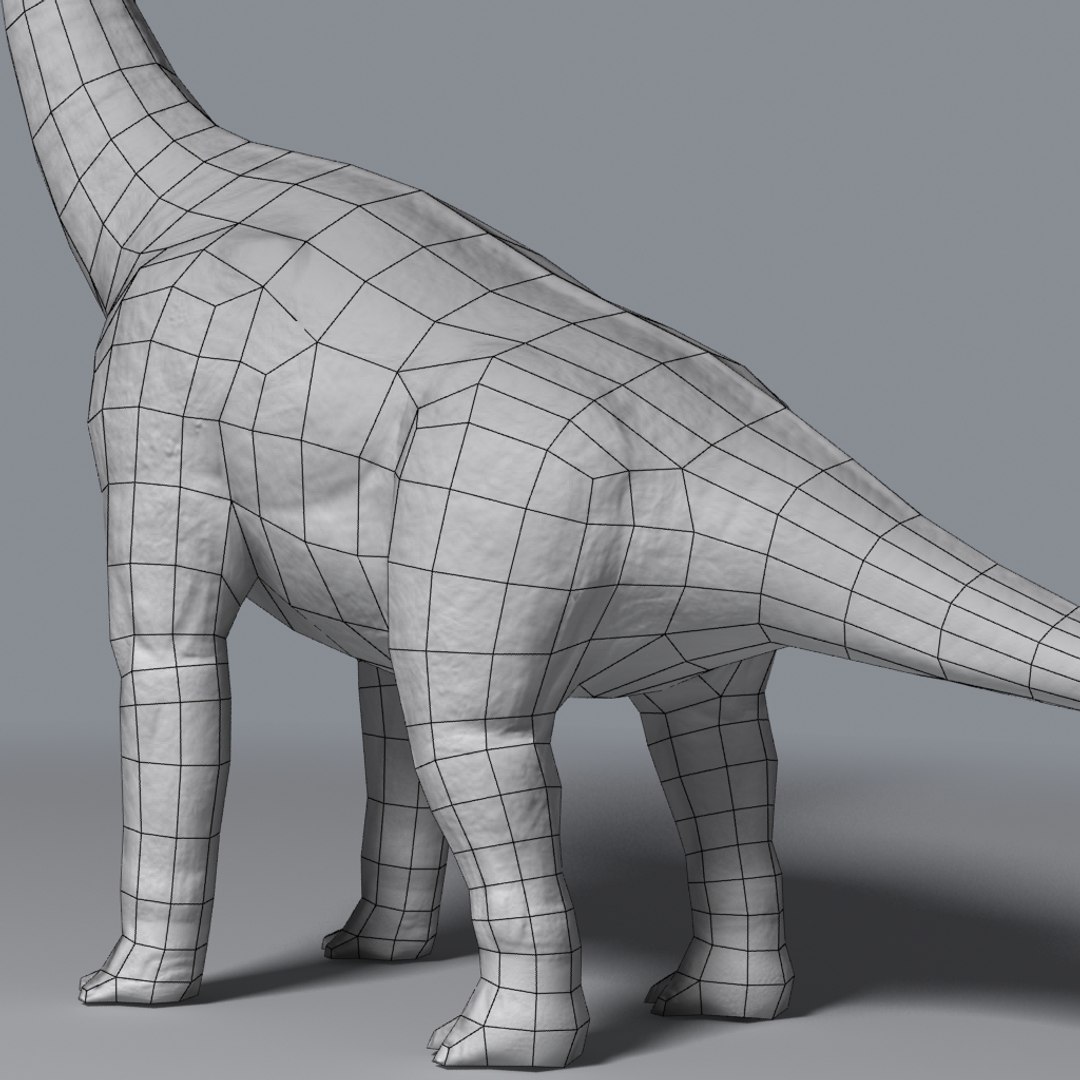 3d Brachiosaurus Sauropod Model