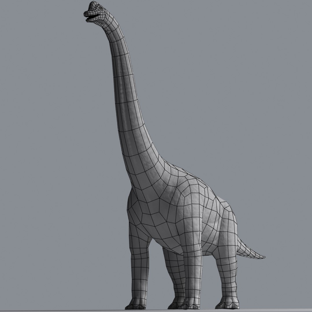 3d Brachiosaurus Sauropod Model