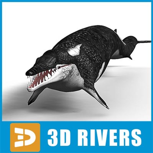 Basilosaurus 3D Models for Download | TurboSquid