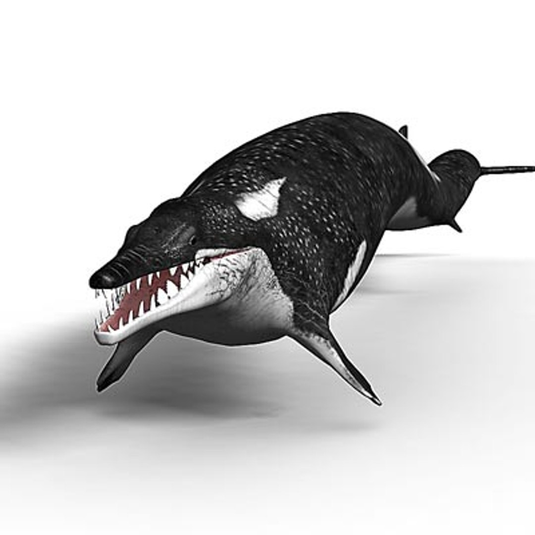 3d Basilosaurus Prehistoric Cetacean