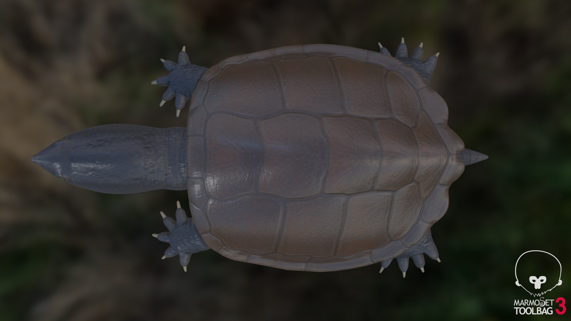 3D Common Snapping Turtle Model - TurboSquid 1466049