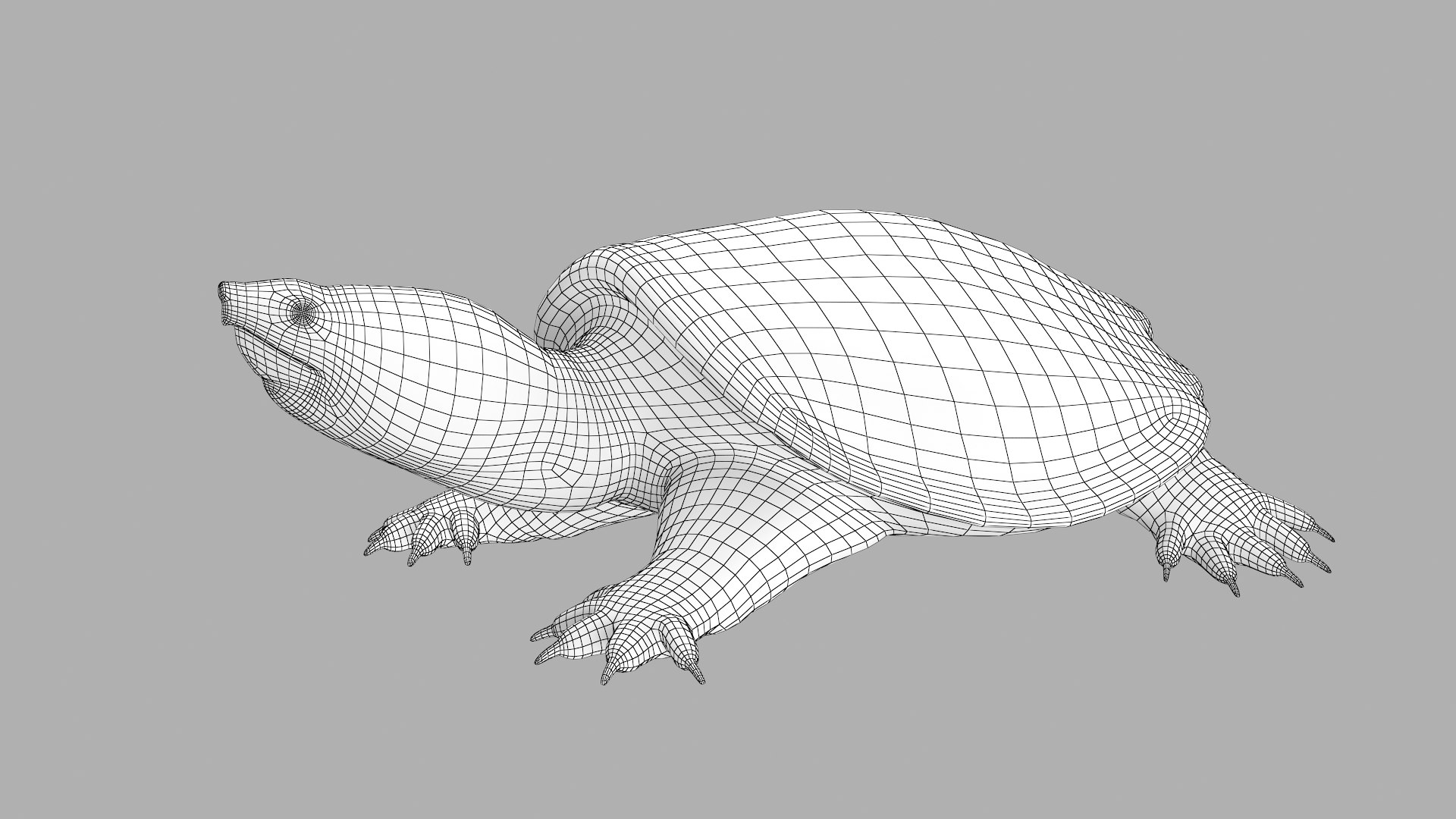 3D Common Snapping Turtle Model - TurboSquid 1466049