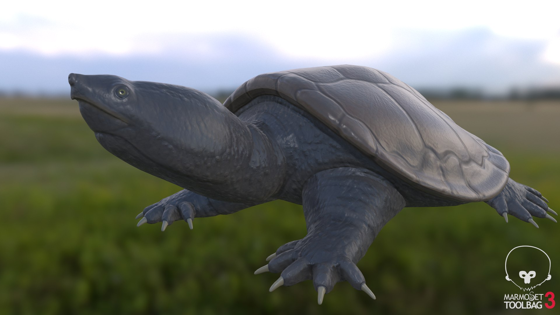 3D Common Snapping Turtle Model - TurboSquid 1466049