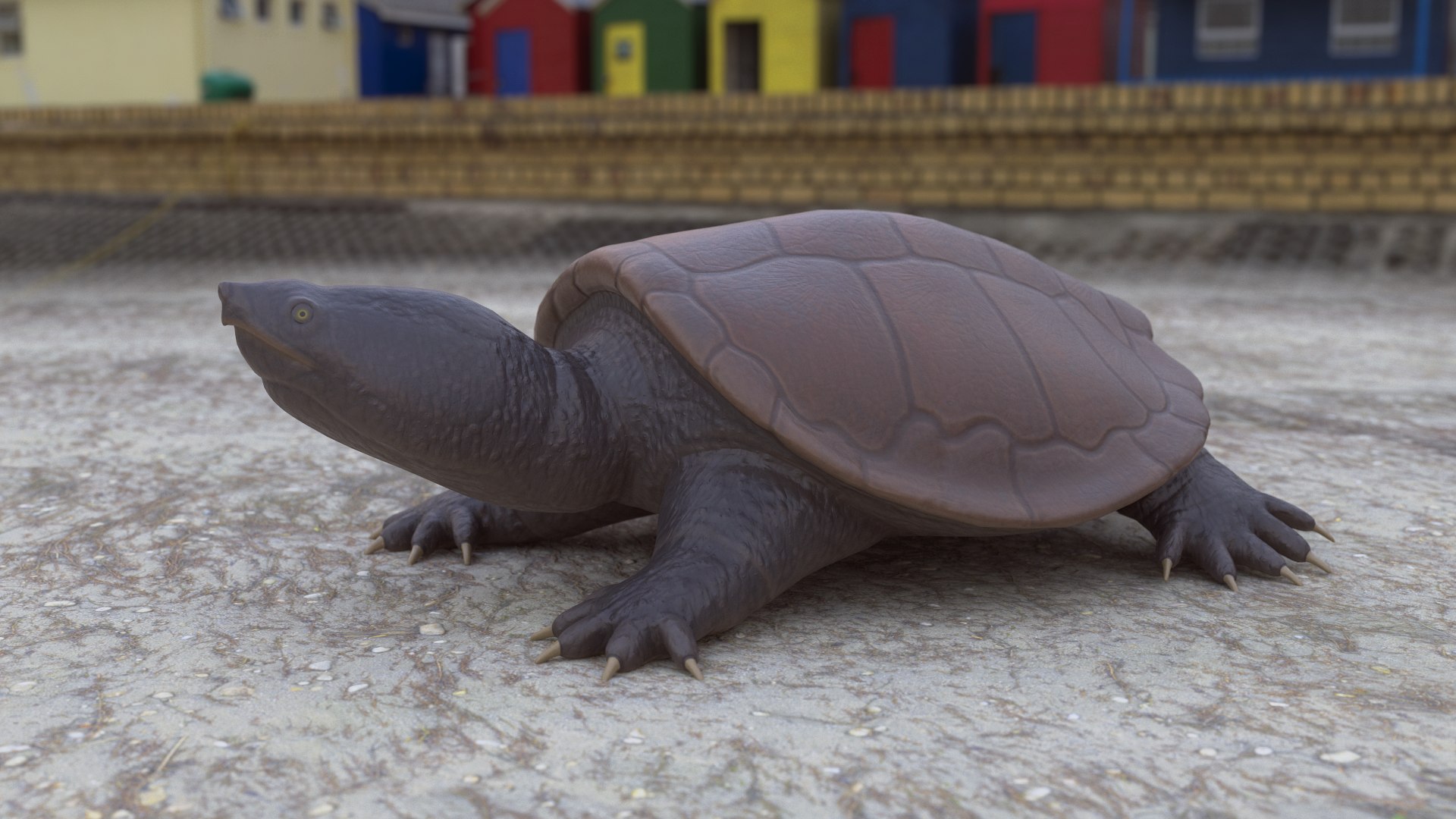 3D Common Snapping Turtle Model - TurboSquid 1466049