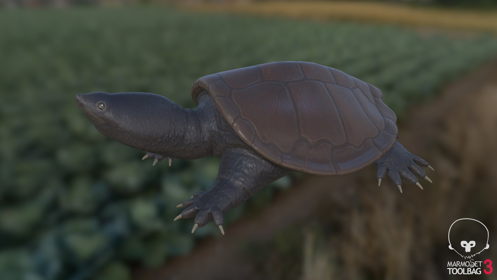 3D Common Snapping Turtle Model - TurboSquid 1466049