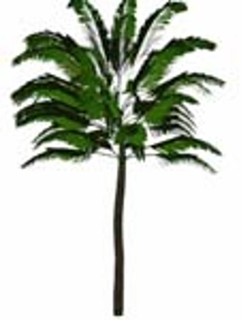 Palm Tree Obj