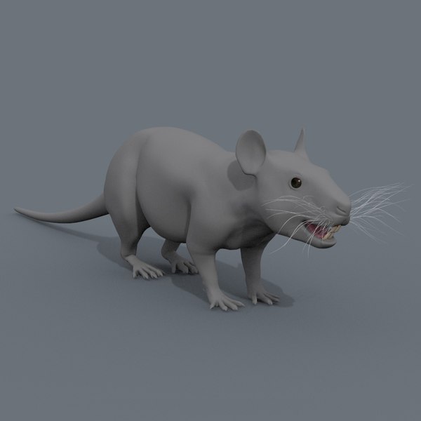 modelo 3d Forma de ratón de rata - TurboSquid 2487356