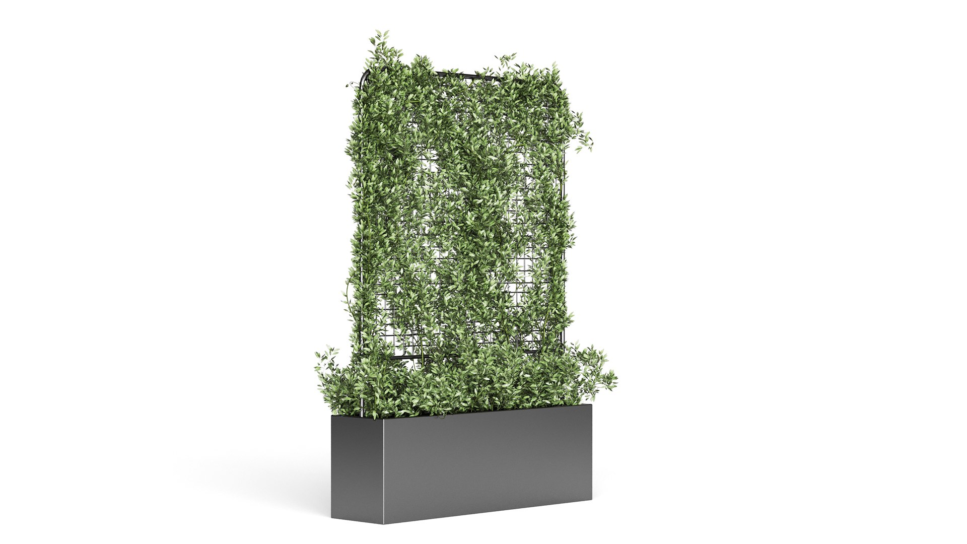 3D Botanical Planter 3 - TurboSquid 2285882