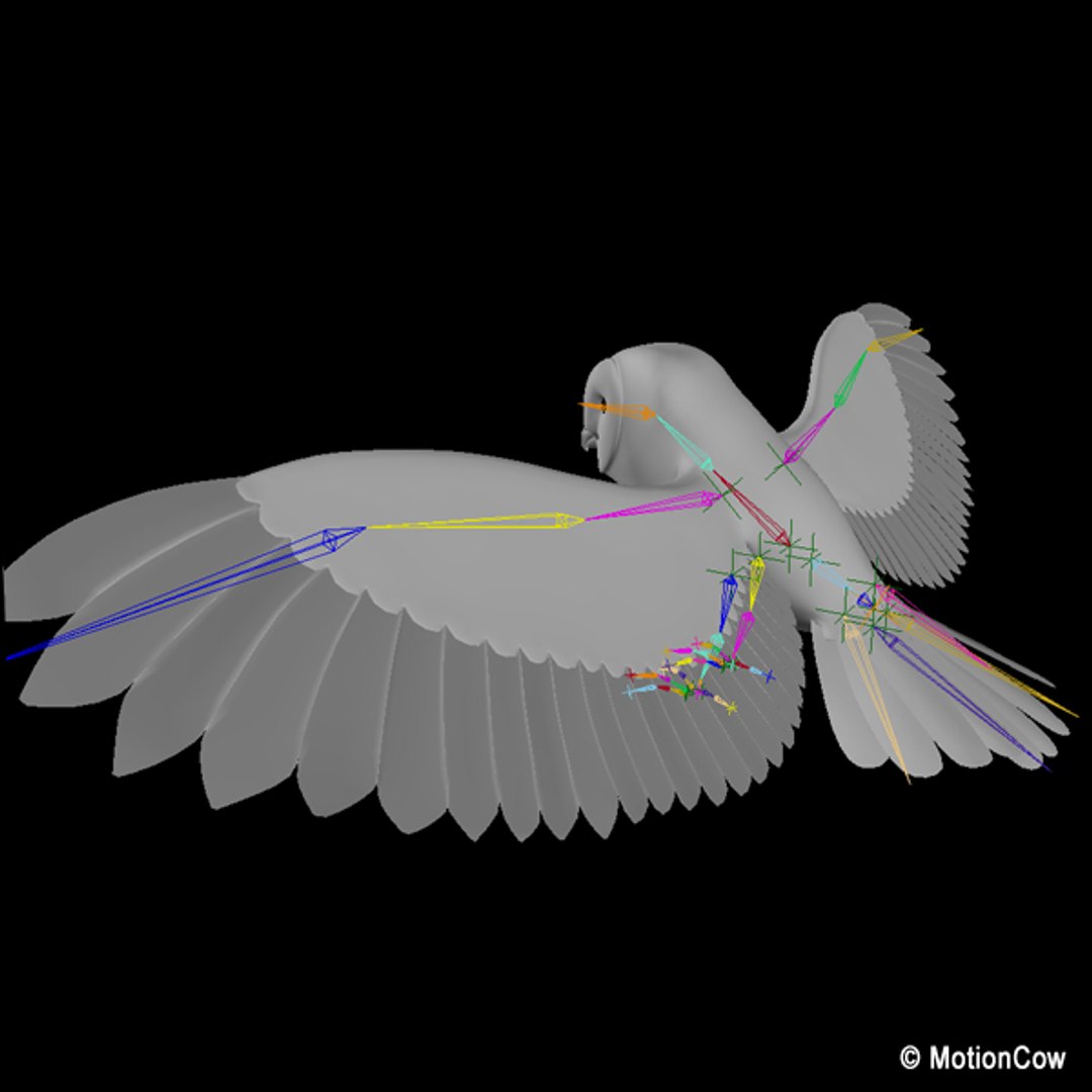 realistic flying barn owl 3d c4d