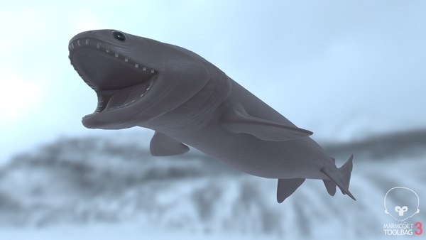3D deep sea fish model - TurboSquid 1467566